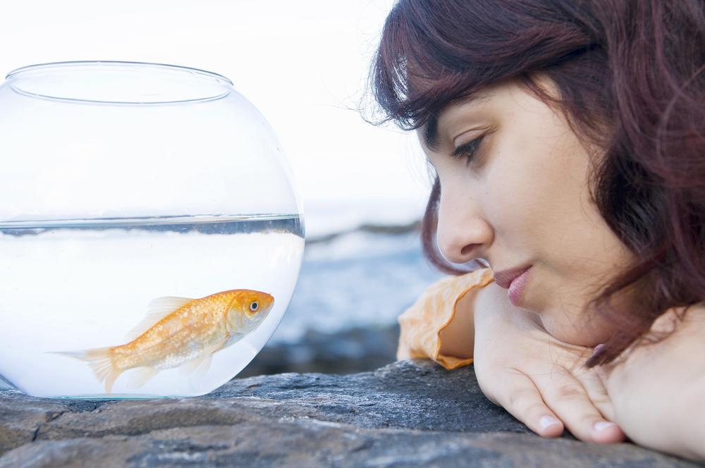 Adrenal Fatigue, Addison's Disease & Adrenal Insufficiency